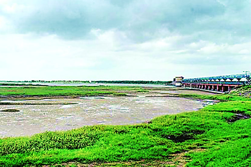 भीमा व मांजरा नद्या जोडणार - Marathi News | Bhima And Manjara River ...