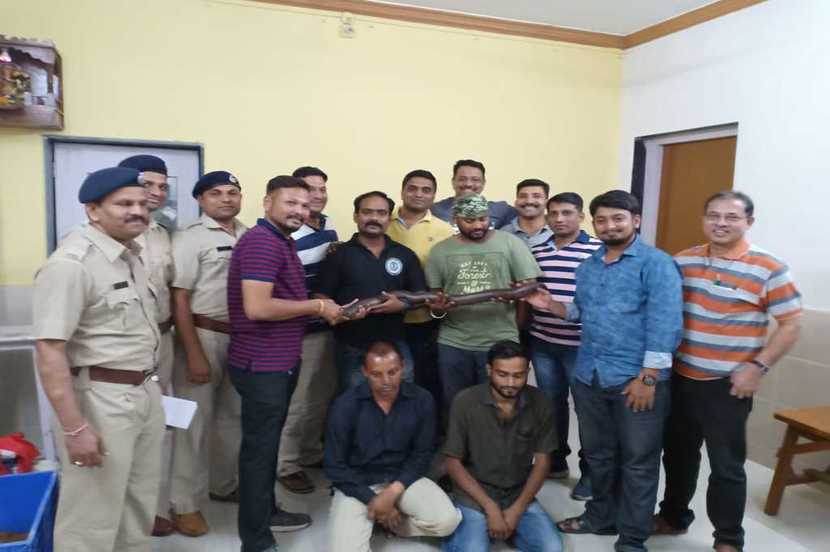 काळ्या जादुसाठी वापरात येणाऱ्या दुतोंडी मांडुळासह दोघे अटकेत - Marathi ...