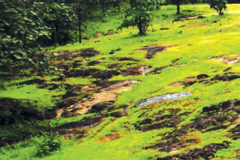 गारगाई धरणाचा अडथळा दूर! - Marathi News | Bmc To Build Gargai Dam ...