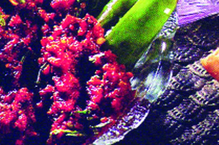 खिमा फ्राय - Marathi News | Recipe Kima Fry Akp 94 - Latest Kutumbkatta ...