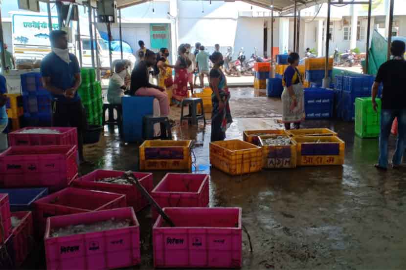 मासळी लिलाव बाजार बंद - Marathi News | Fish Auction Market Closed In ...
