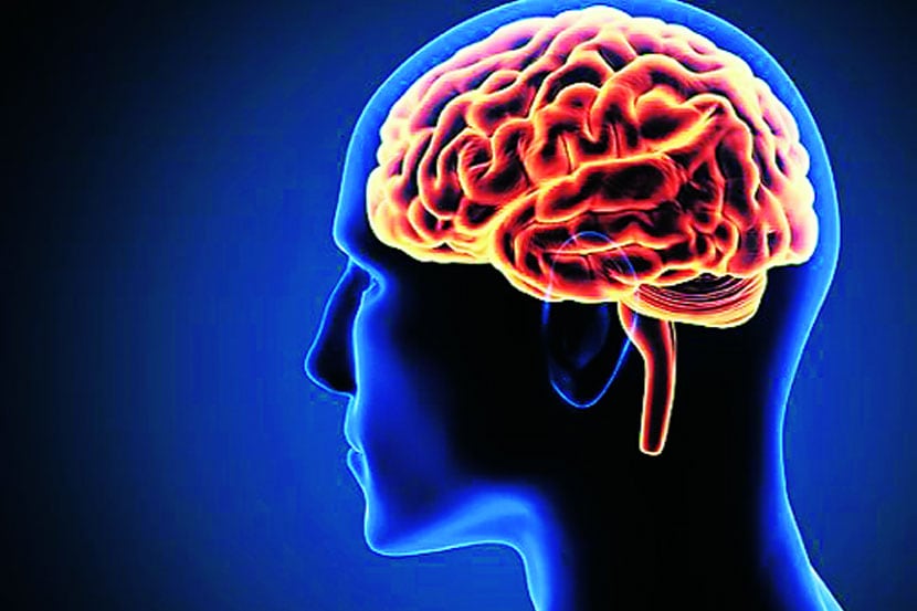 करोना संसर्गामुळे मेंदूवर परिणाम - Marathi News | Corona Infection ...