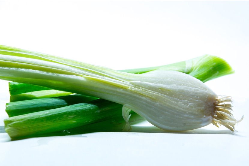 कांद्याच्या पातीचे ‘हे’ फायदे वाचून व्हाल थक्क; आजच कराल आहारात समावेश ...