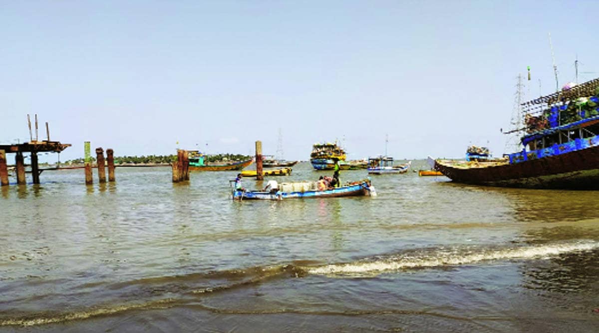 पर्यावरण विशेष : एवढंच करा, काहीही करू नका! - Marathi News | Save Your ...