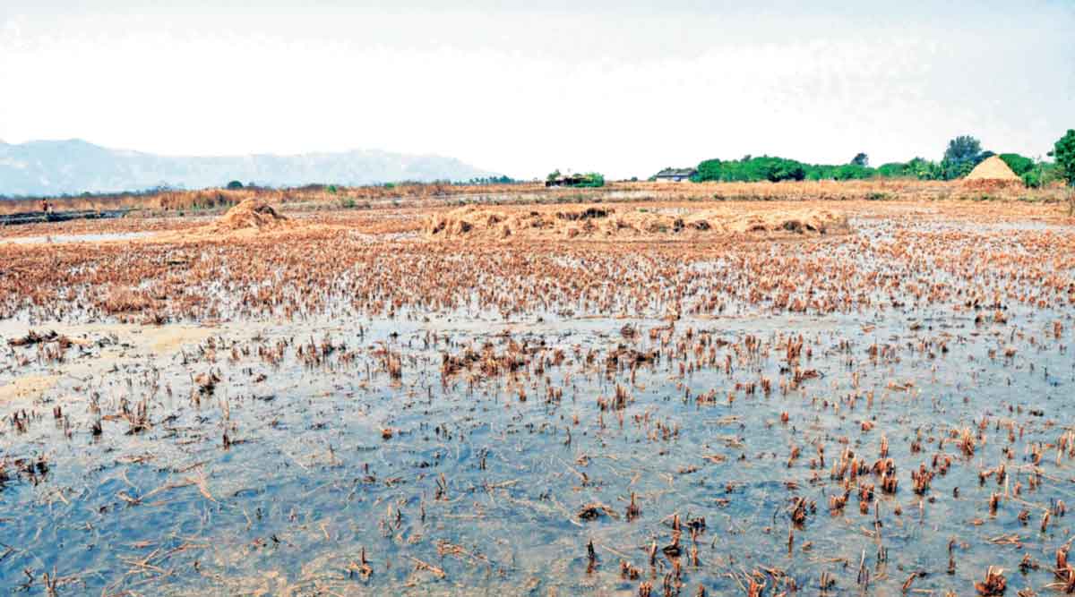 शेताच्या बांधावरून होणारे तंटे संपणार; जमीन मोजणी अधिक अचूक होणार ...