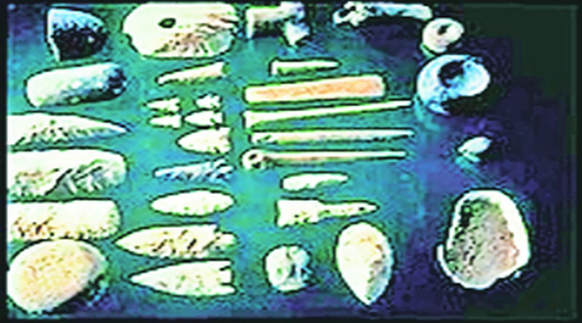 Kutuhal Charles antiquity geologist Charles Darwin founder of evolution ...