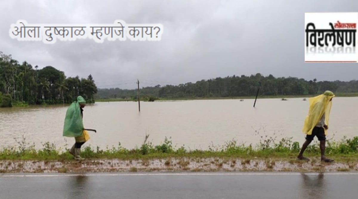 विश्लेषण: ओला दुष्काळ म्हणजे नेमकं काय? असा दुष्काळग्रस्त भाग कसा जाहीर ...