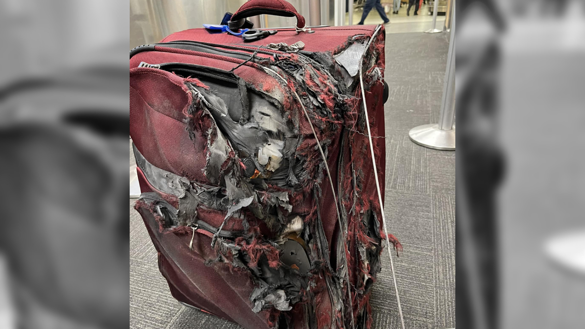After seeing the Viral Image Of A 'Chewed Up' Suitcase, you too will ...