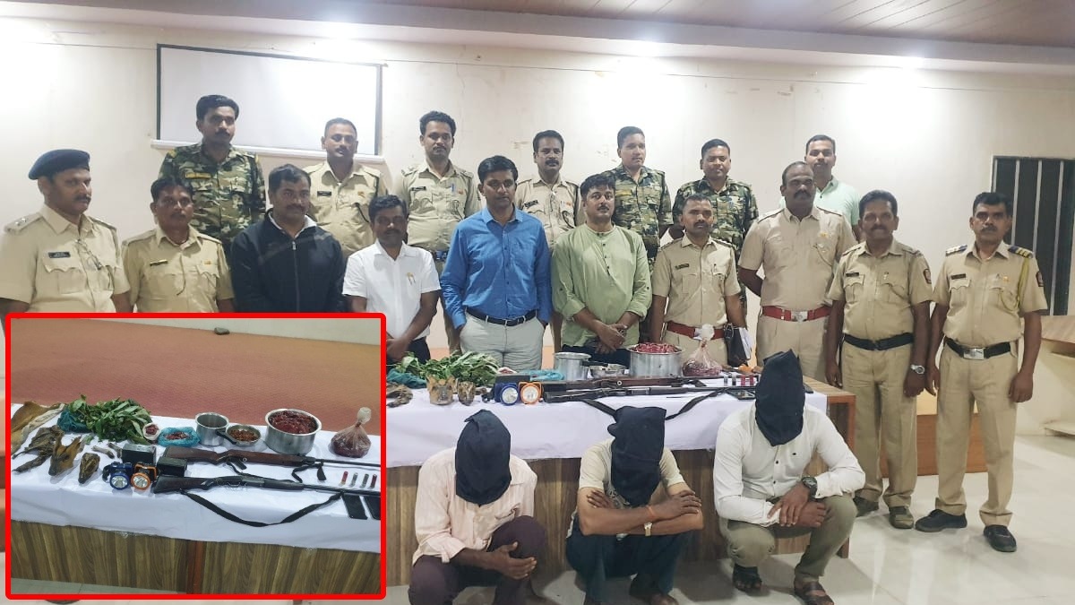 भेकर व चौसिंगाची शिकार केल्याबद्दल जवानासह तिघेजण गजाआड; साताऱ्यात ...