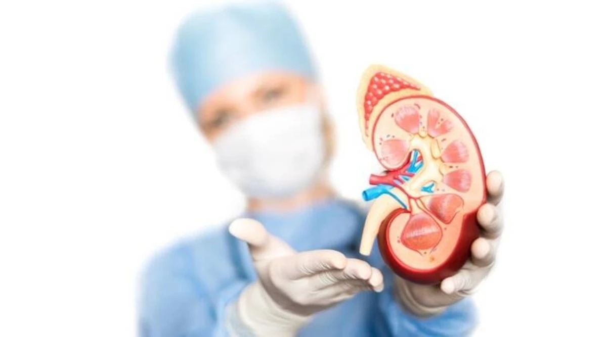 Health: Risk of kidney failure increases due to 'these' factors; Simple ...