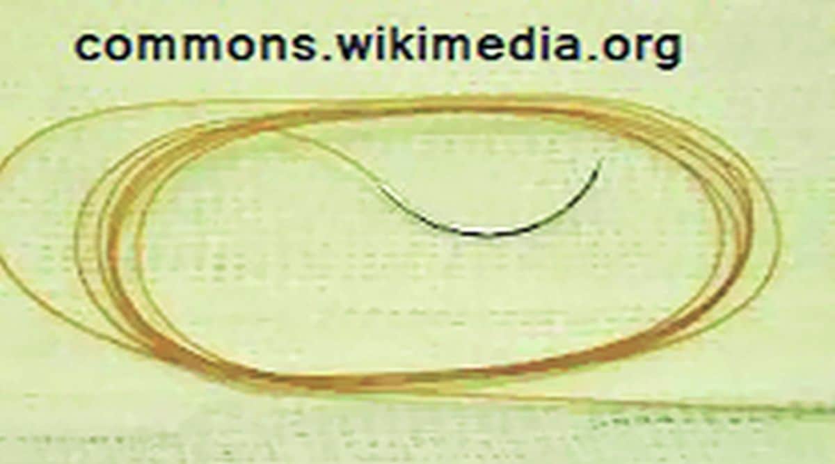 Kutuhal Catgut Fabrication of Threads of animals of the intestine ysh 95