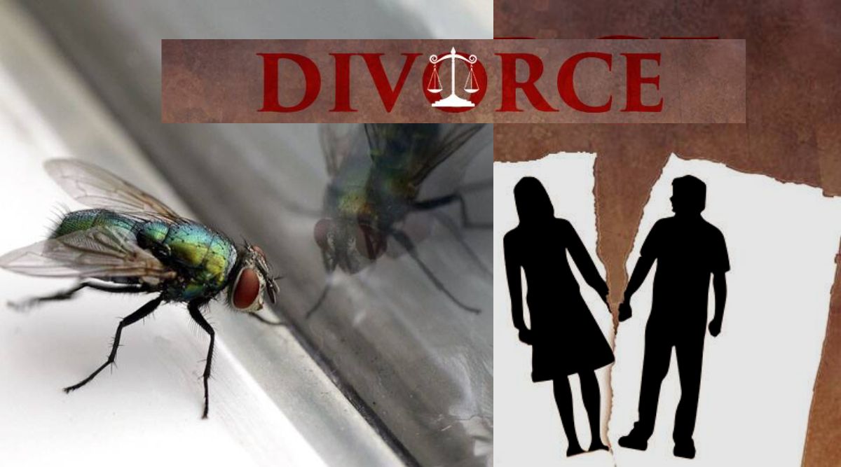 in hardoi uttar pradesh villagers disturbed by fly problem world ...