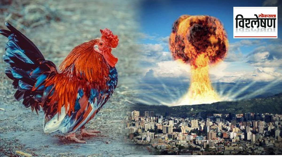 Second World War Operation Blue Peacock Used Alive Chicken As Weapon To ...