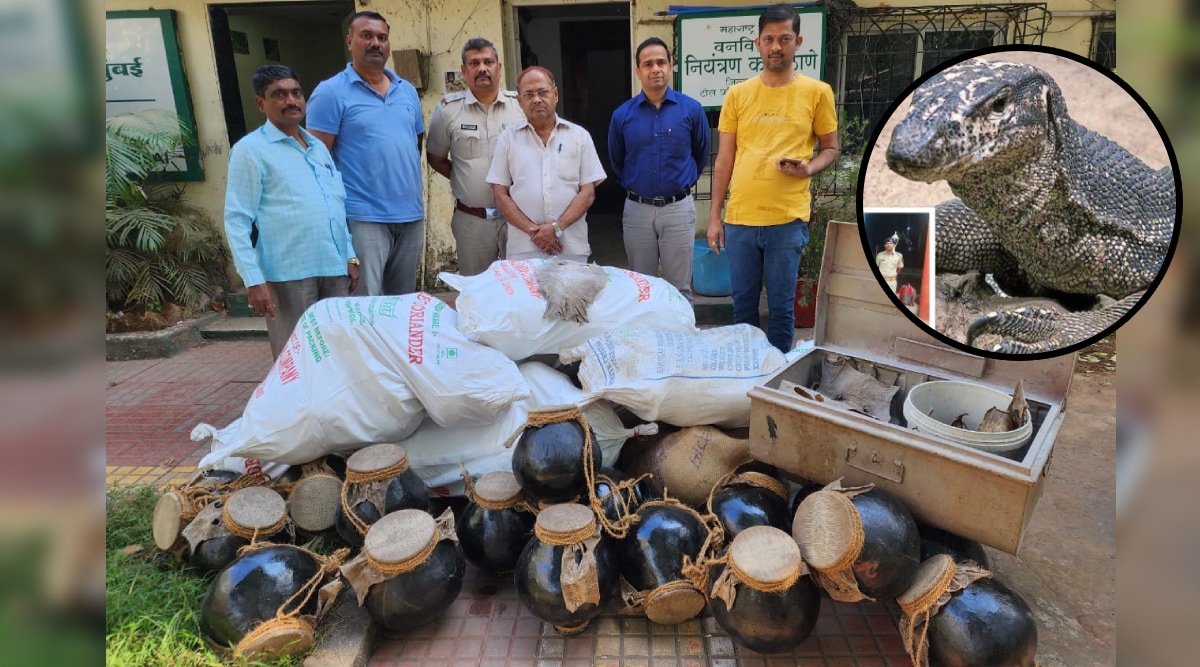 72 year old accused arrested for using monitor lizard skin to make ...