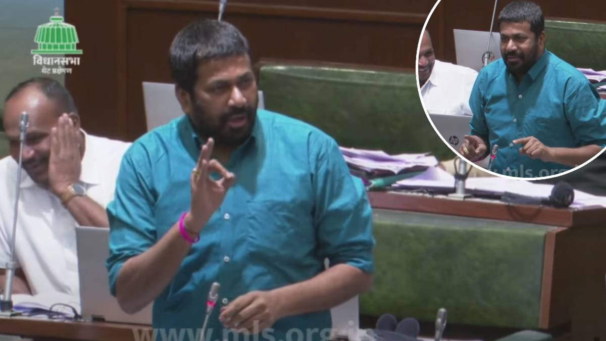 भटक्या कुत्र्यांबाबत बच्चू कडूंचा सरकारला अजब सल्ला; गुवाहाटीचा उल्लेख ...