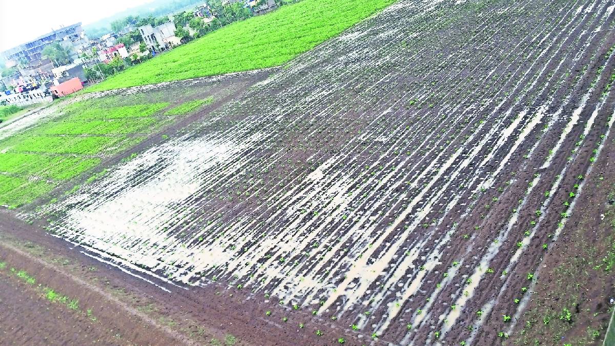 Farmers hailstorm this year the result of activation of solar chain ysh 95