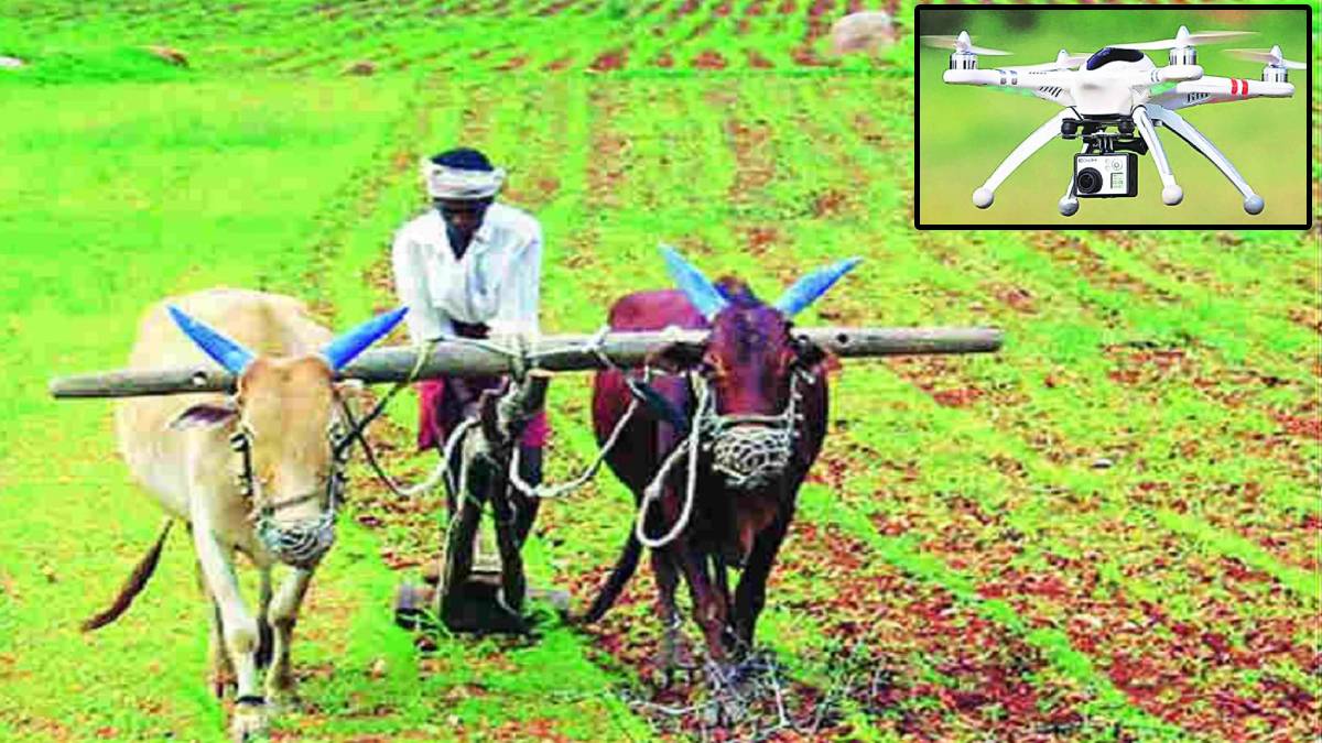 जमिनीच्या आठ लाखांवर मिळकत पत्रिका; देशात महाराष्ट्र चौथ्या स्थानावर ...