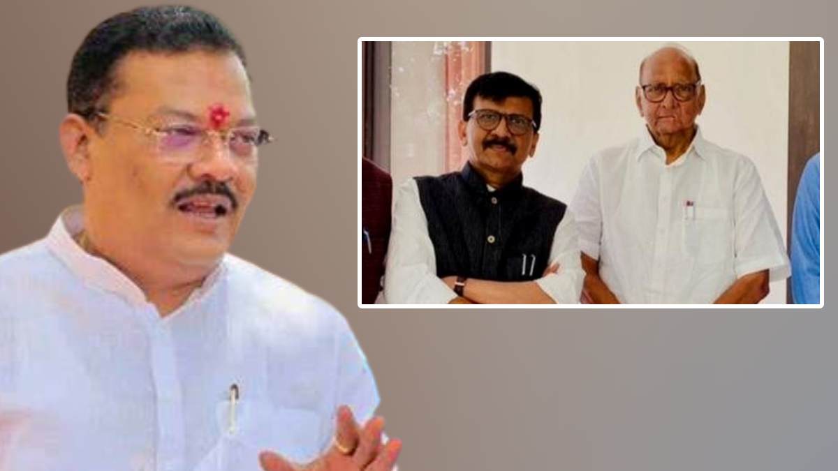 "संजय राऊत हे शरद पवारांनी दिलेल्या स्क्रिप्टप्रमाणे बोलतात, त्यांना ...