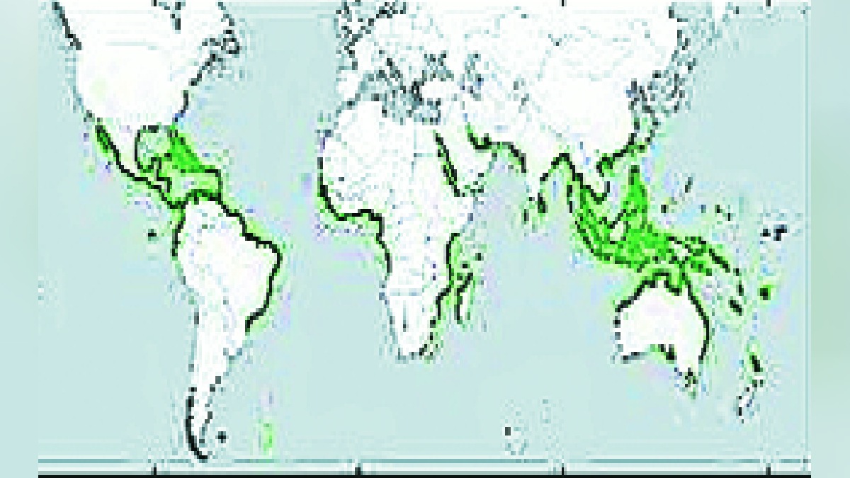 कुतूहल: जगातील खारफुटी वने | Kutuhal Mangrove forests of the world