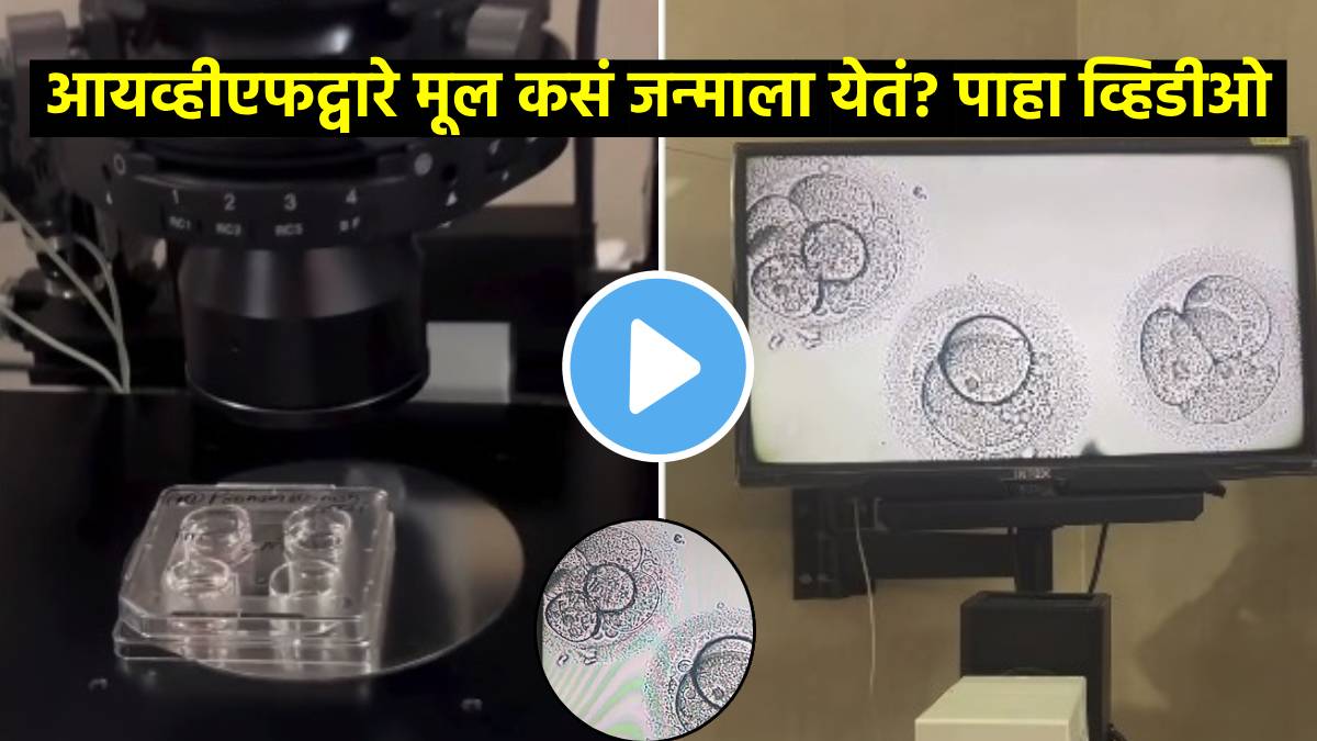 IVF द्वारे मूल कसे जन्माला येते? अंडी गर्भात ठेवण्यापूर्वीचा प्रवास ...