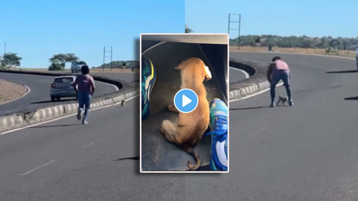 Video: भर हायवेवर उतरुन 'या' मराठी अभिनेत्याने वाचवला मुक्या प्राण्याचा ...