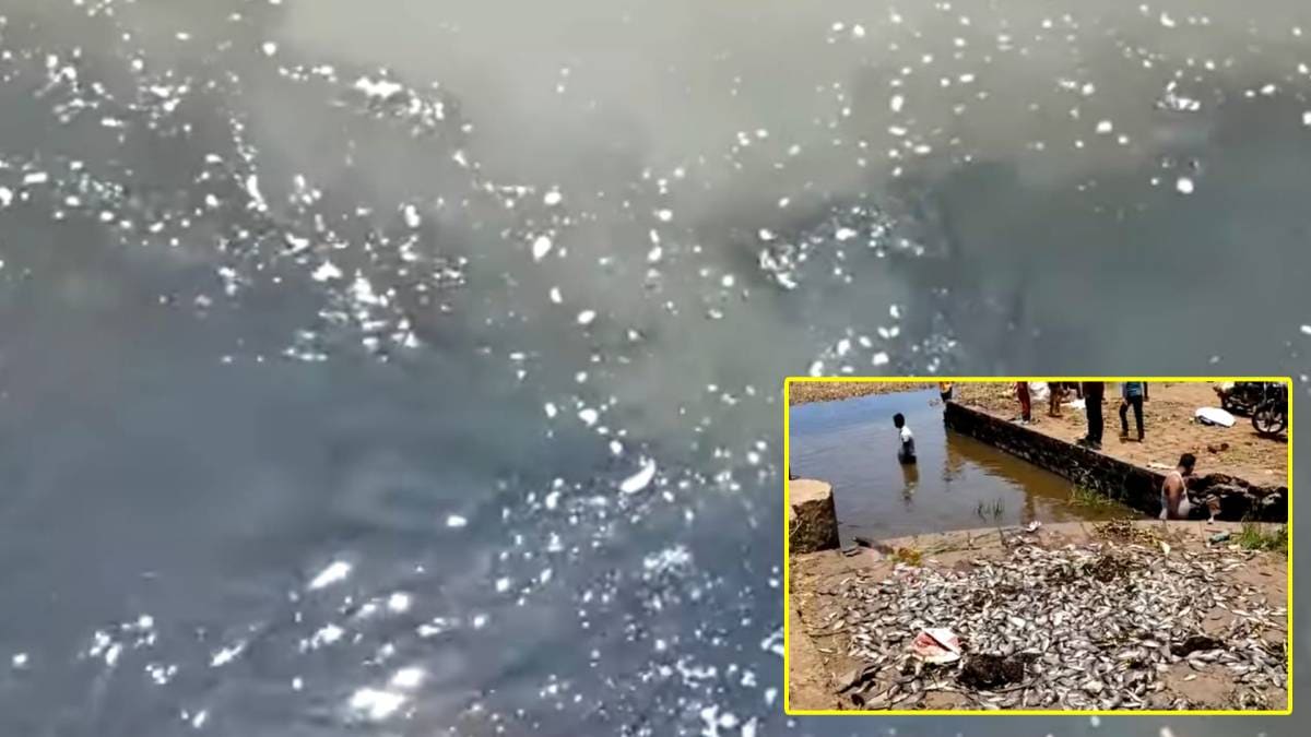 कोल्हापूर, इचलकरंजी महापालिकेचे सांडपाणी प्रक्रियेविना पंचगंगेत; प्रदूषण नियंत्रण मंडळाच्या ...