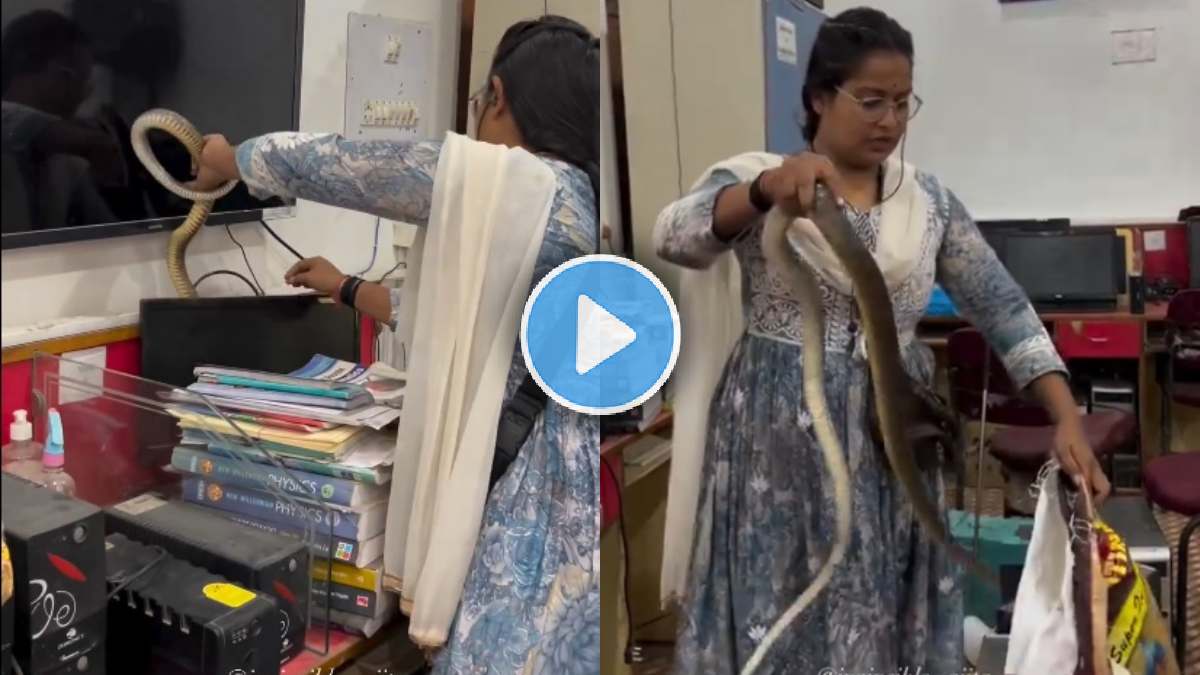 snake viral video : ऑफिसमध्ये कॉम्प्युटरच्या मागे फणा काढून बसला होता ...