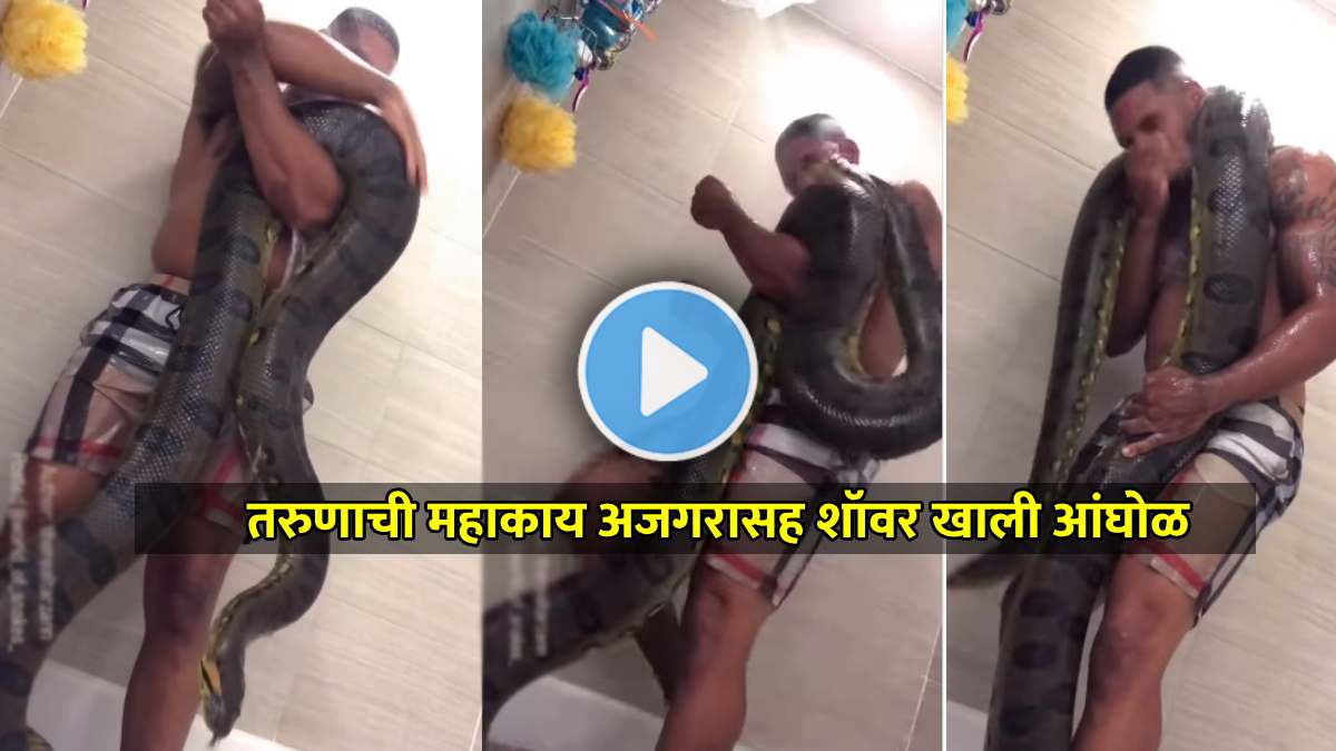 python viral video " भयानक! महाकाय अजगराला खांद्यावर घेत तरुण ...