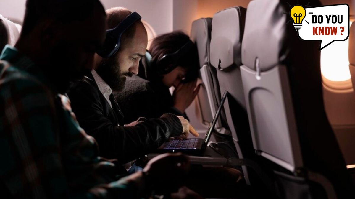 Why Do Planes Dim Cabin Lights During Takeoff and Landing? Explained ...