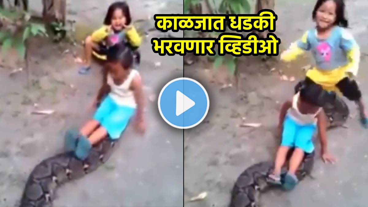 Python Viral Video you will be stunned to see the actions of these ...