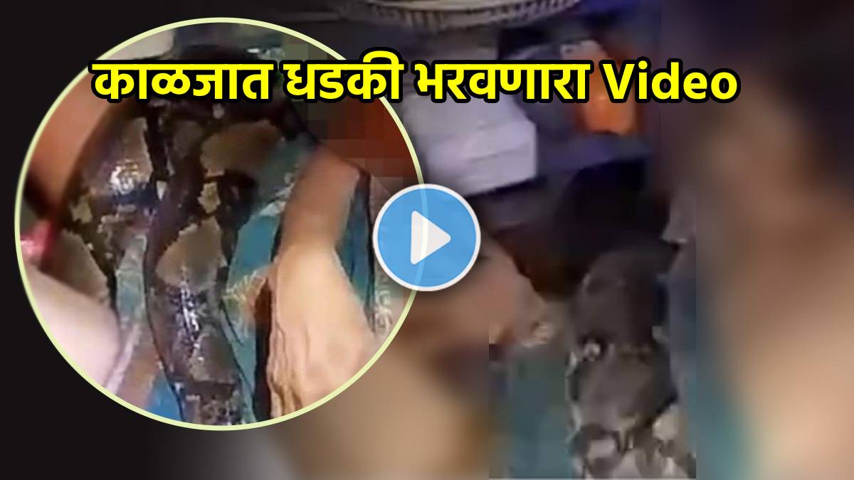 Python Attack Video thailand woman kept fighting from 4 meter python ...