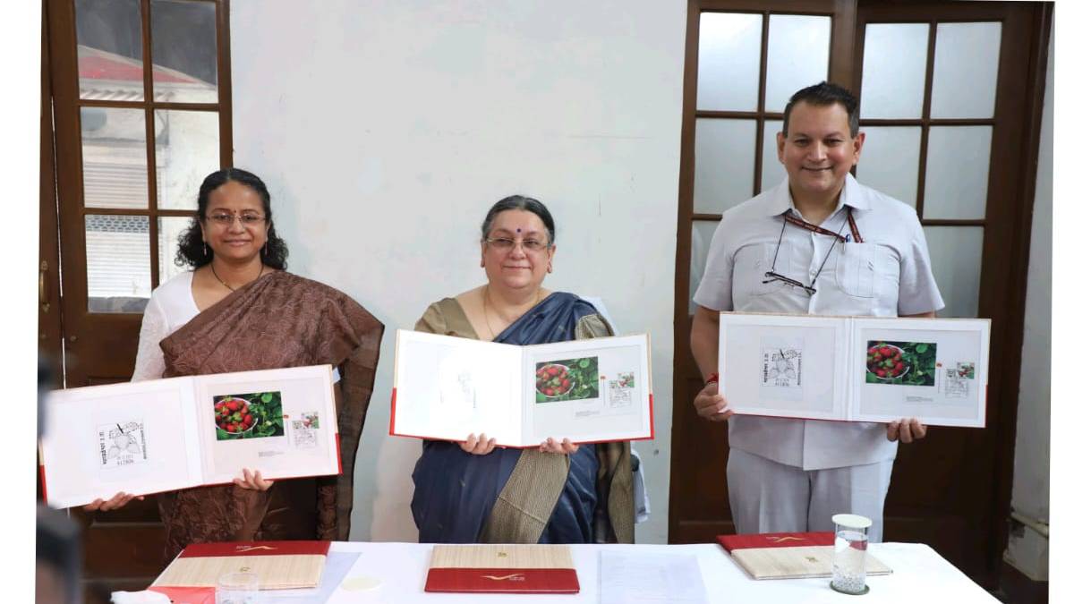 mahabaleshwar strawberries will reach every household through post with ...