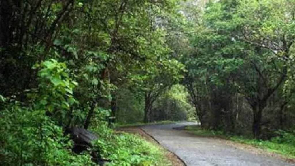 Mumbai Study reveals alarming condition of Sanjay gandhi national Park ...