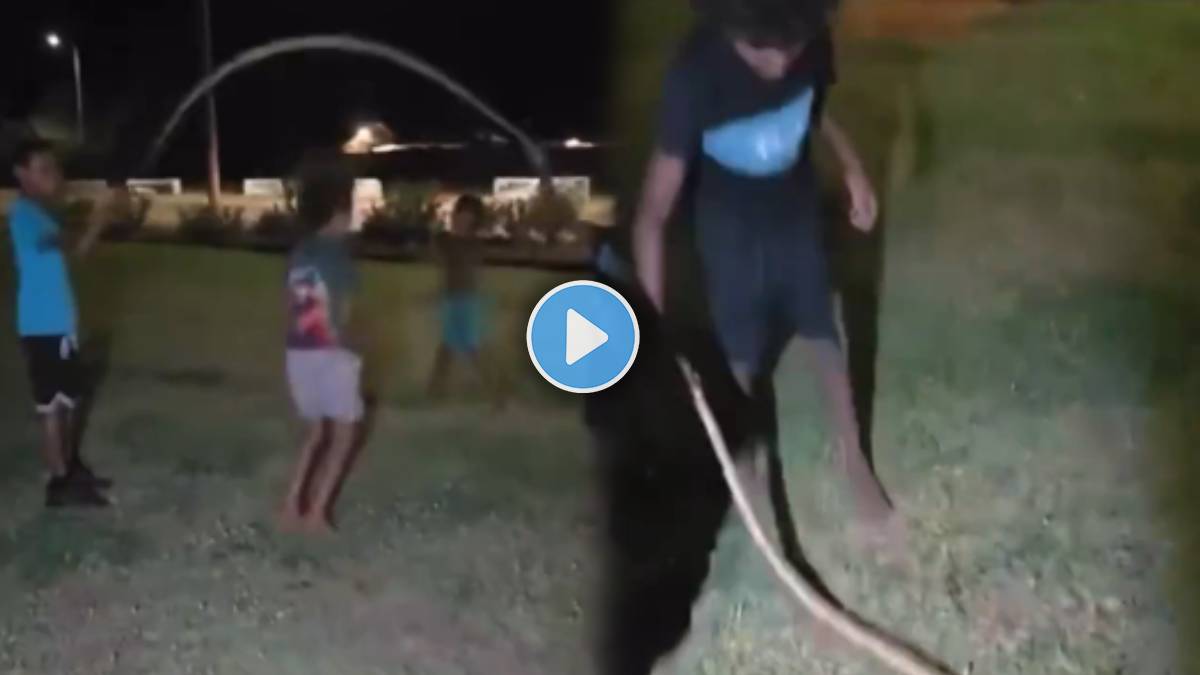Viral Video Shows Children Used A Python As A Skipping Rope | बापरे! दोरी समजून अजगराबरोबर खेळू ...