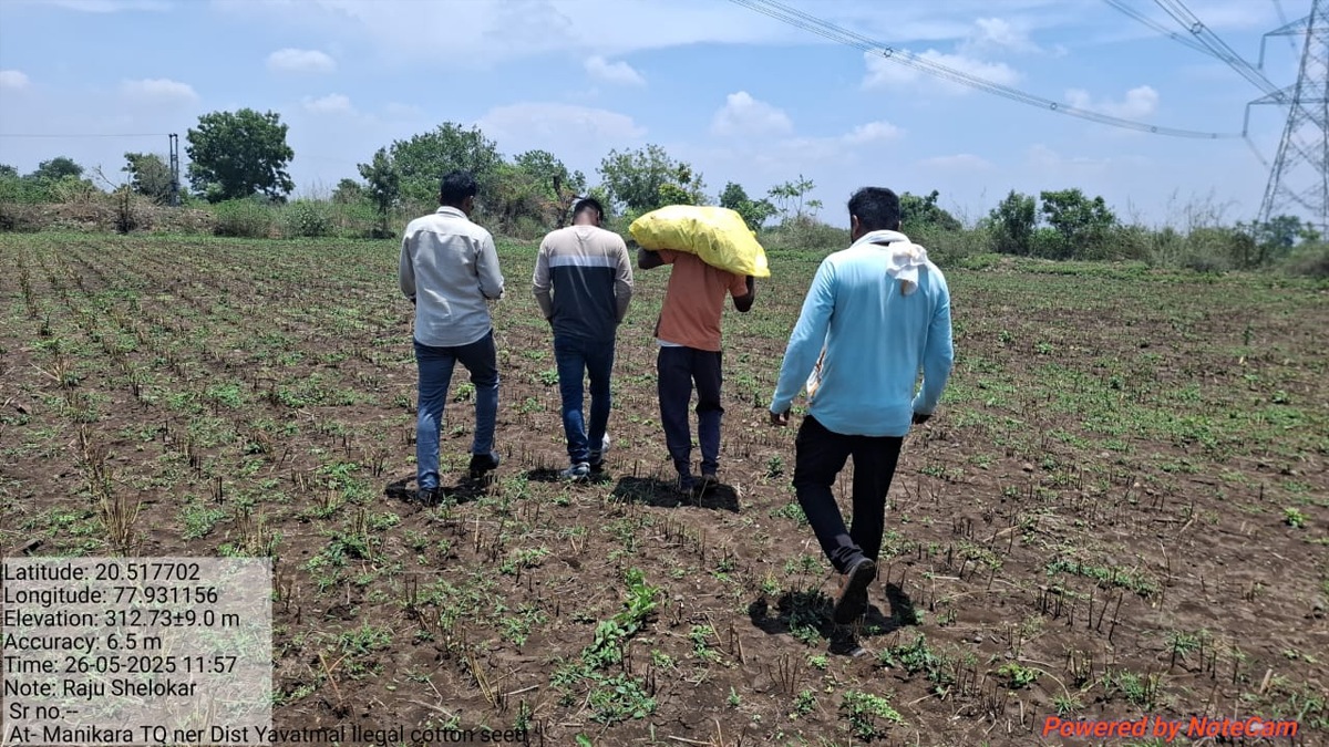 Farmers being used in the sale of banned HTBT seeds in Yavatmal ...