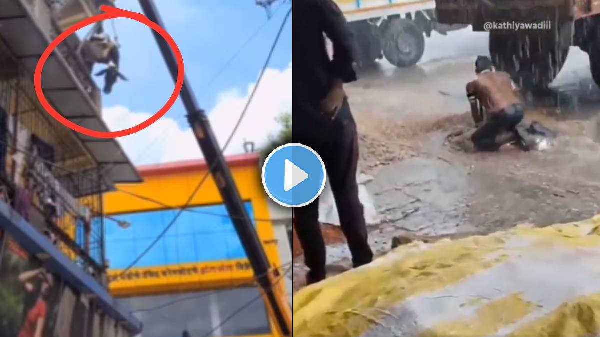 Trending News Check today's viral videos, photos updates in marathi ...