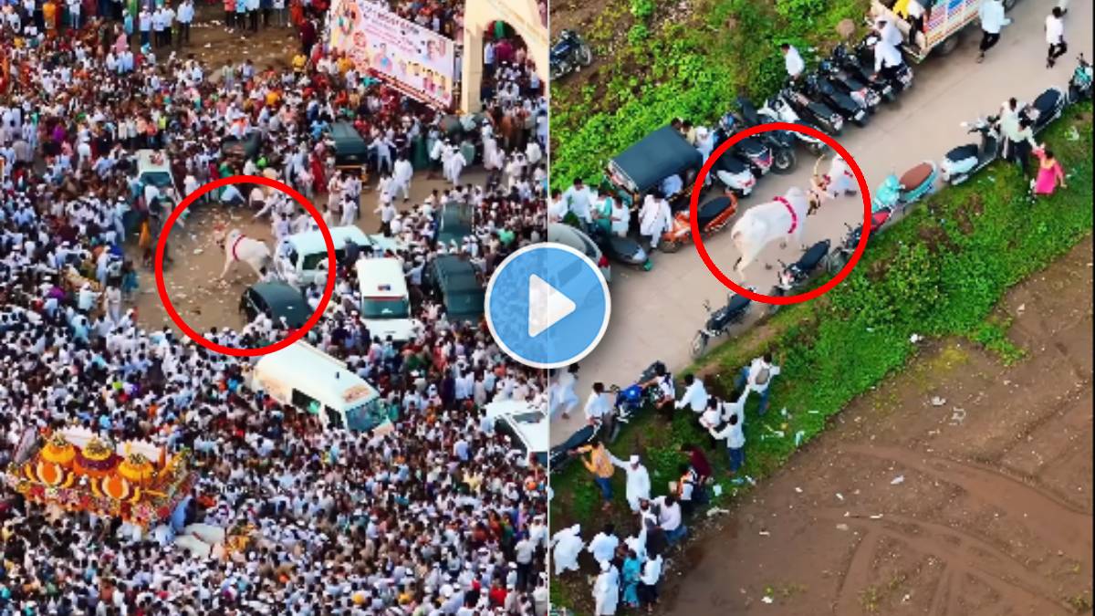 Wari 2025 shocking Viral Video bull goes wild during palkhi sohala of sant dnyaneshwar maharaj ...