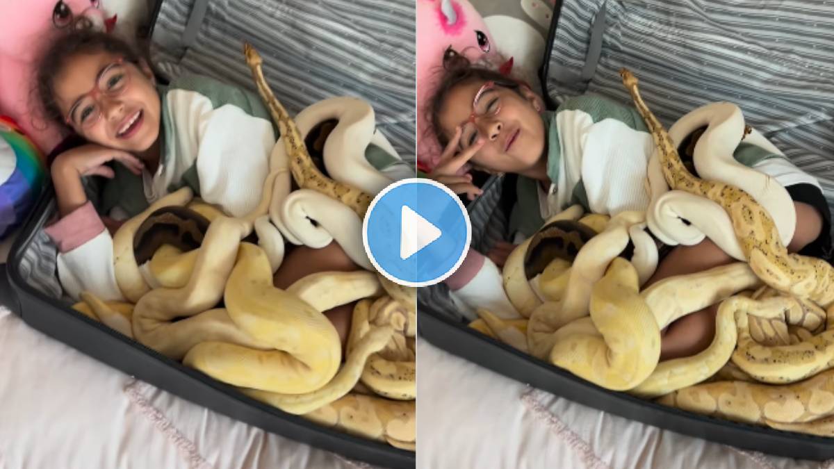 Pythons Shocking Viral video 5 year old girl sleep with python in ...
