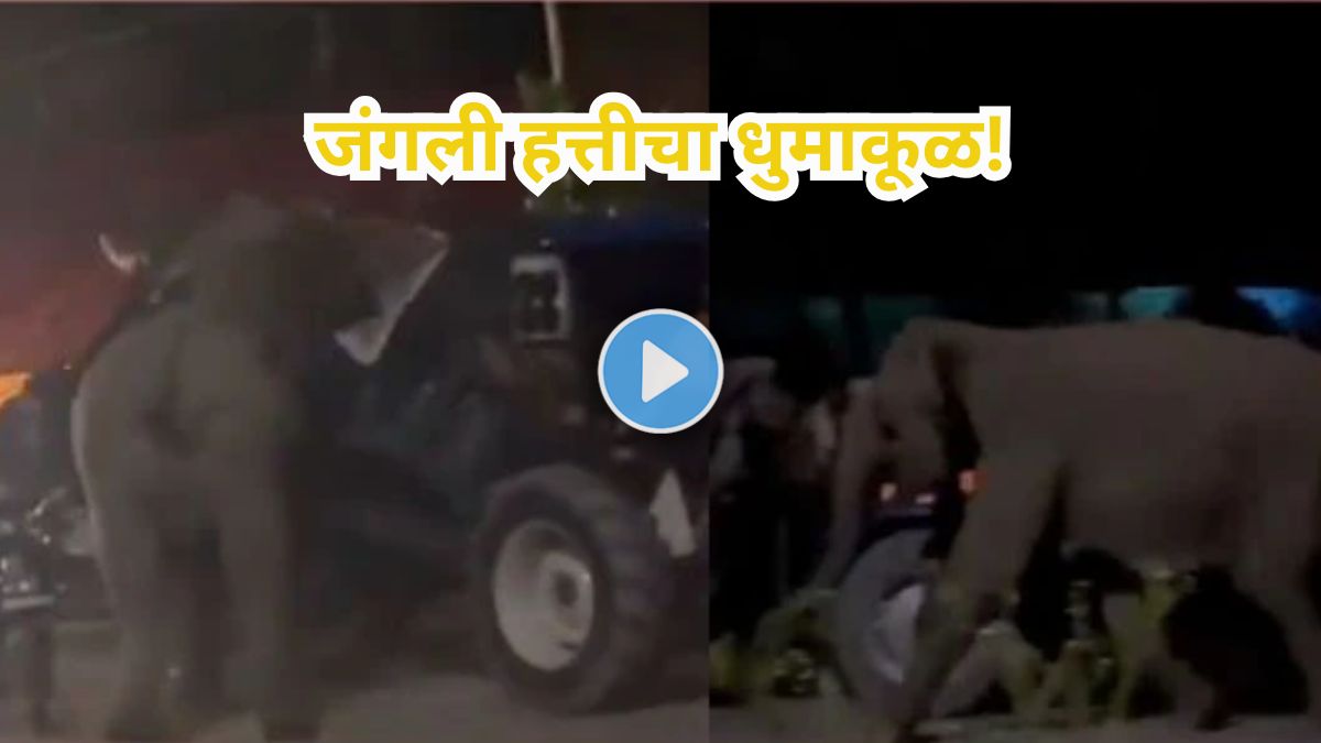 Dehradun Horror: Wild Elephant Flips Cars and Tractors, Shocking Video ...