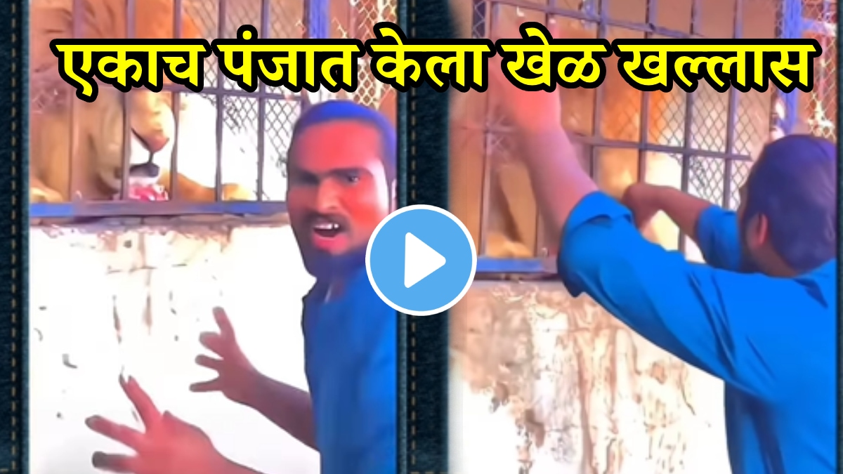 Shocking viral video lion attacks on man see what happened next video goes viral on social media ...