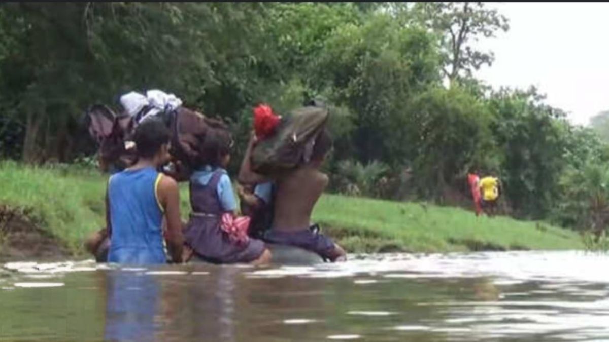 palghar students rescued from dangerous river crossings for school action taken by zilla ...