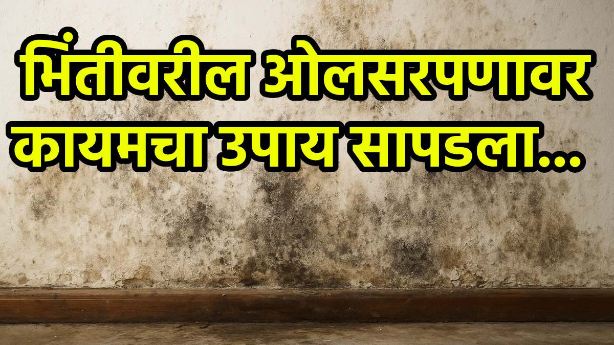 Is the damp on the walls of the house increasing due to the monsoon ...