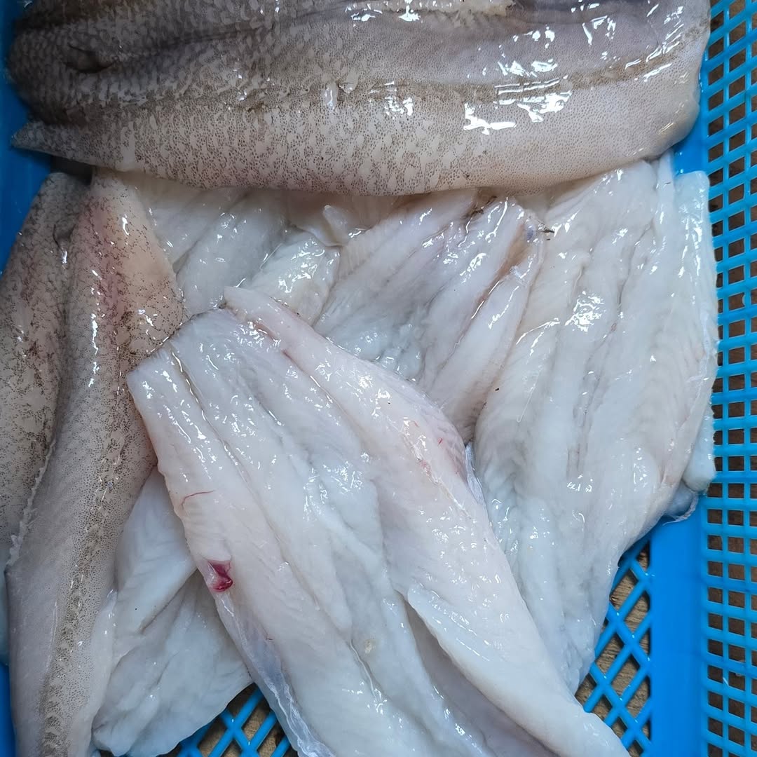 Bombay Duck The Quirky Named Bombil Fish With A Rich Culinary And ...
