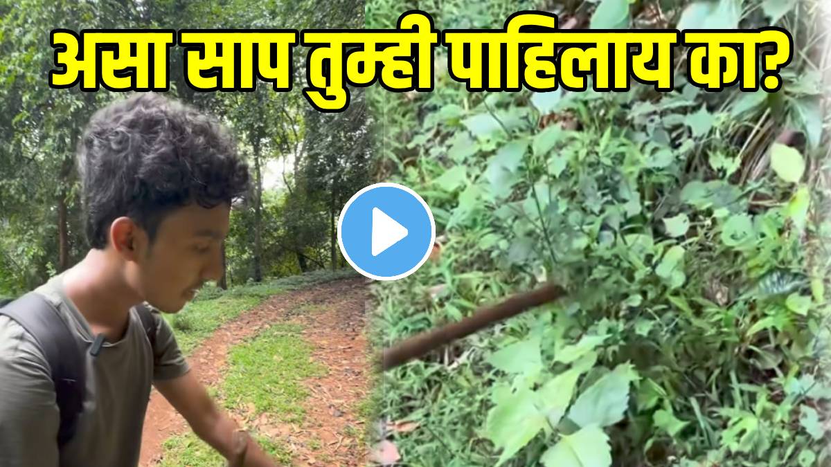 viral video shows boy captured green vine snake perfectly hidden among ...