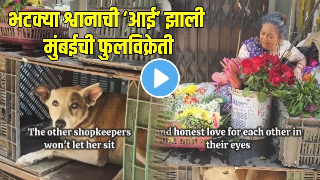 viral video shows Mumbai flower seller bond with her stray dogs ...