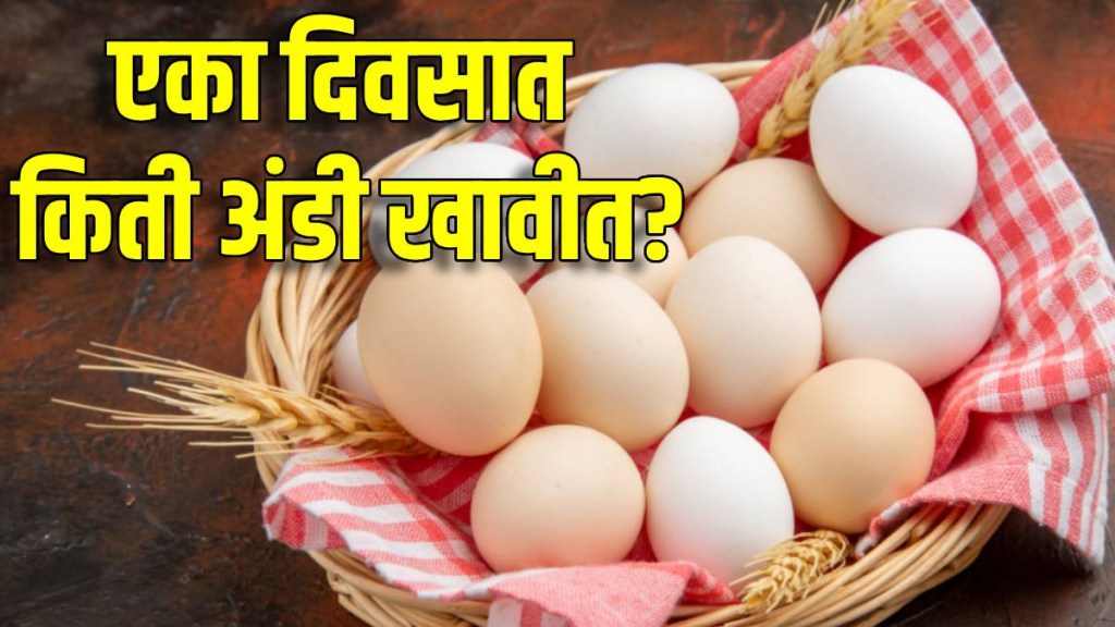 How many boiled eggs should eat a day | कच्च अंड खाल्यावर होऊ शकते ...