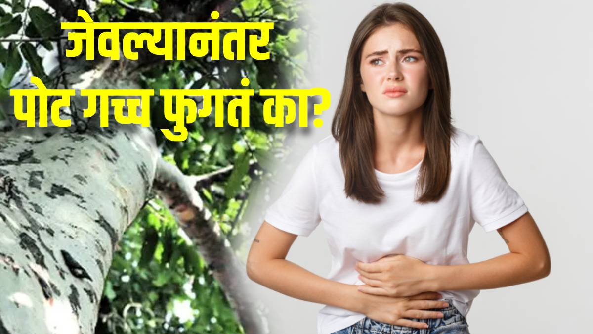 How to get rid of stomach gas at night | दुपारी, रात्री जेवल्यानंतर पोट ...