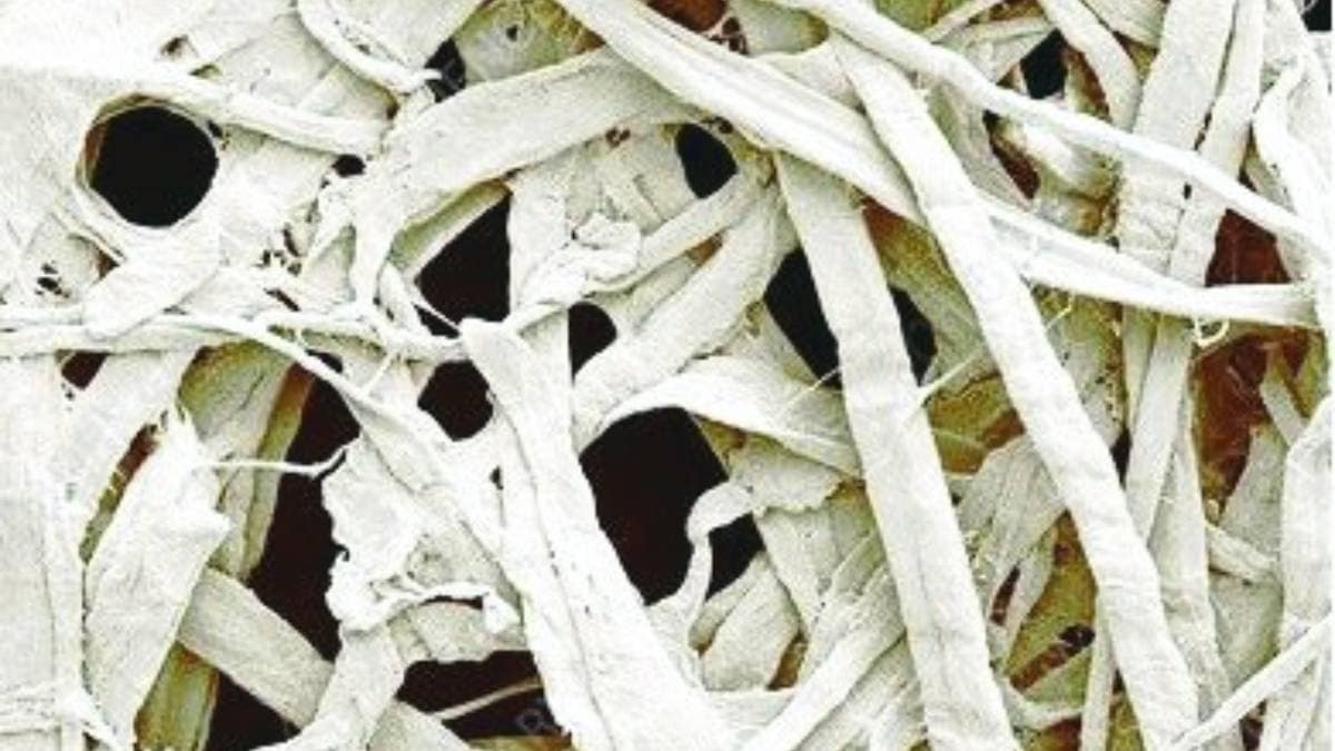 कुतूहल : टिश्यू कागद पाणी का शोषतो? - Marathi News | Secret Of Tissue ...