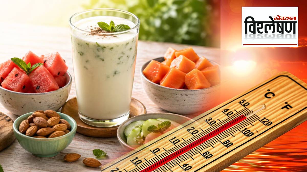 Summer Diet Tips: उन्हाळ्यात उष्णतेचा पचनसंस्थेवर परिणाम; ॲसिडिटी, गॅस ...