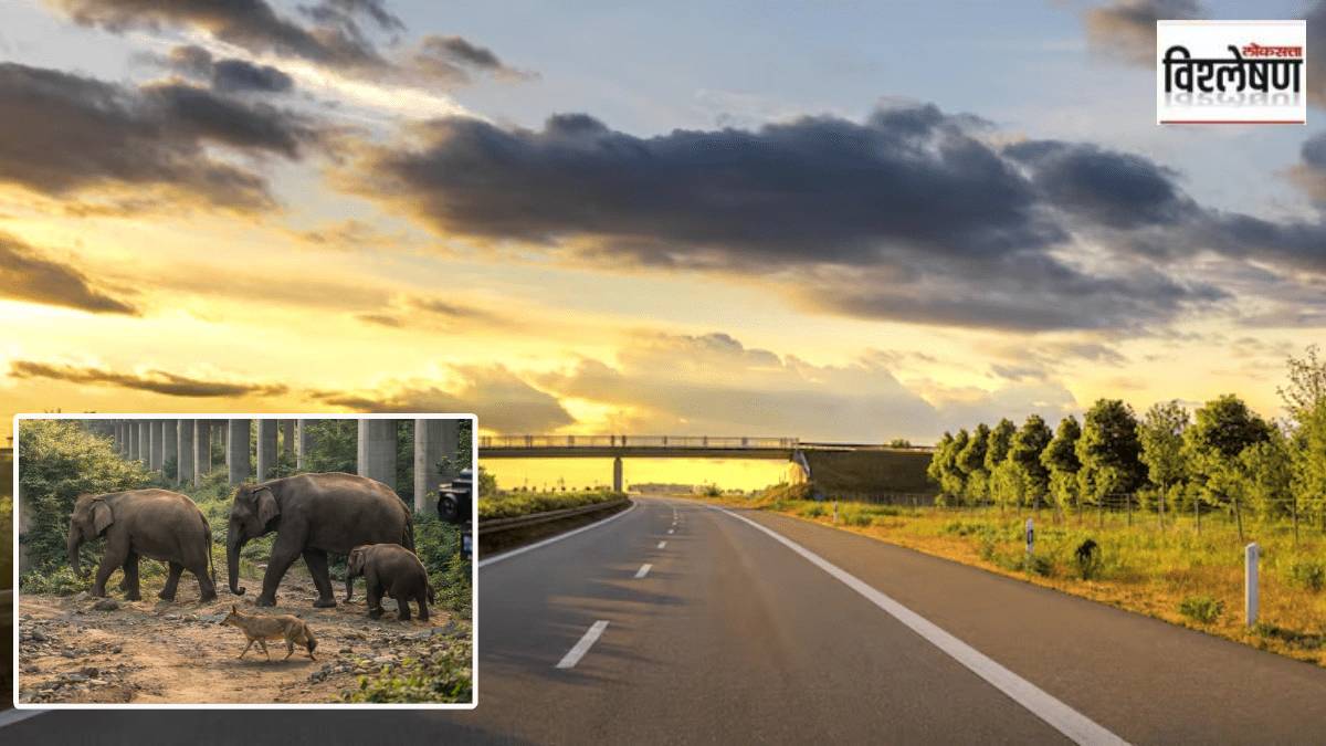 Delhi-Dehradun Expressway Wildlife Corridor: Asia's Longest | दिल्ली ...